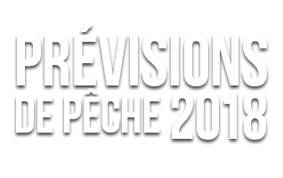 Latulippe - Grande sélection de produits de plein air au meilleur prix