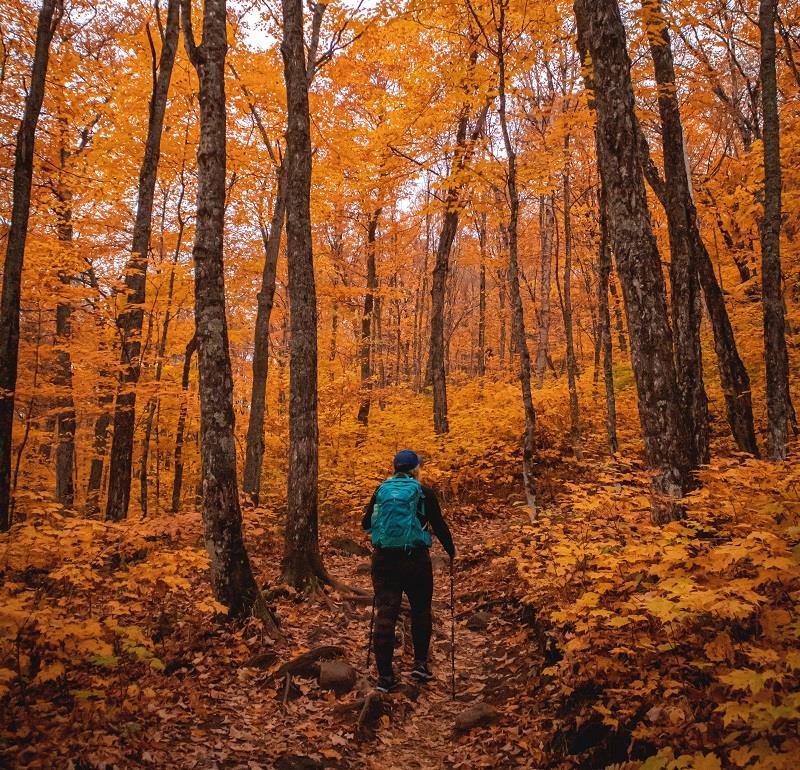 The 5 essential things to know for the long fall hike | Latulippe