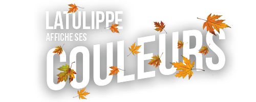 Latulippe - Grande sélection de produits de plein air au meilleur prix