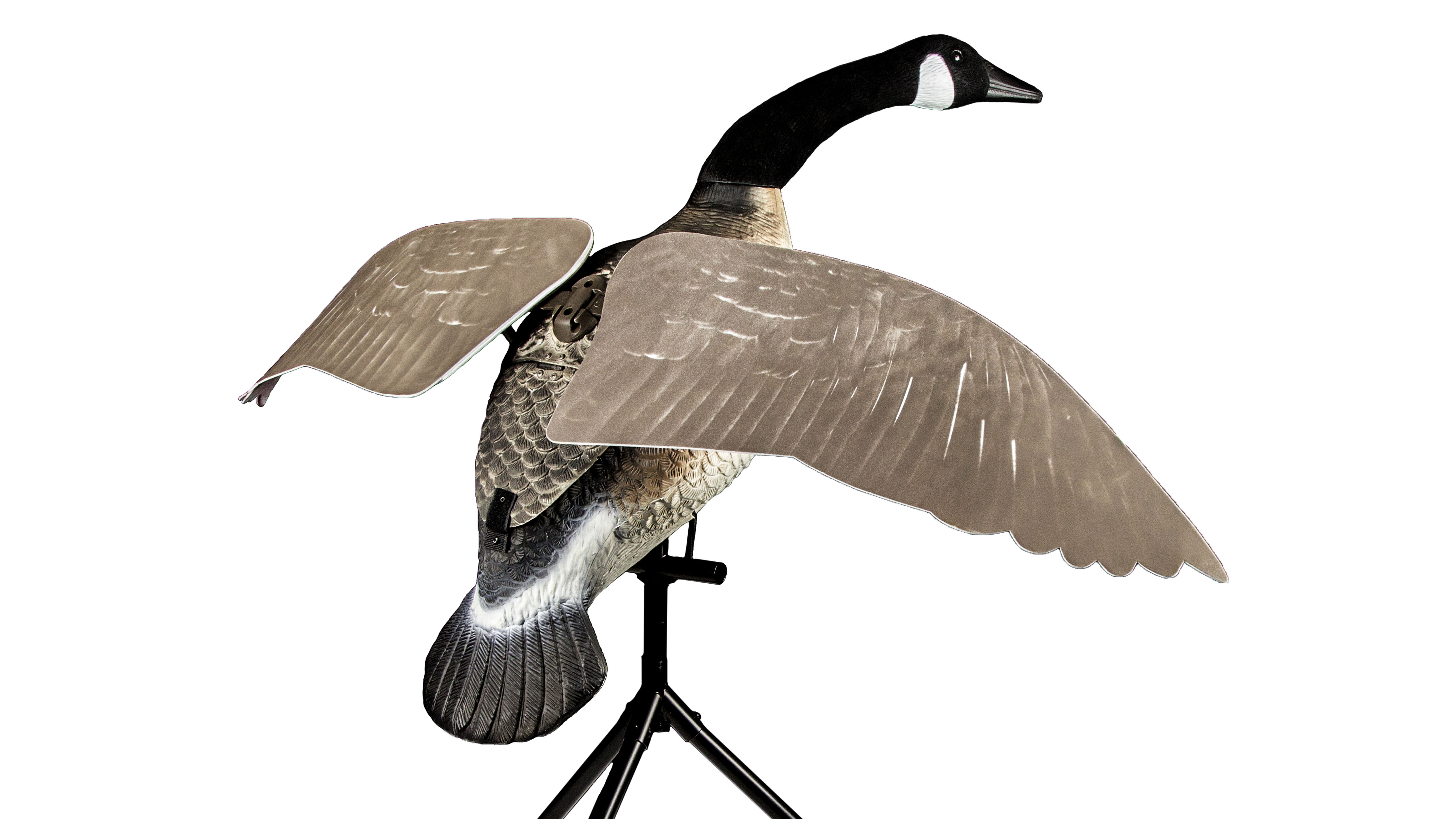 Lucky Flapper Canada Goose Remote Decoy - Lucky Duck | Latulippe