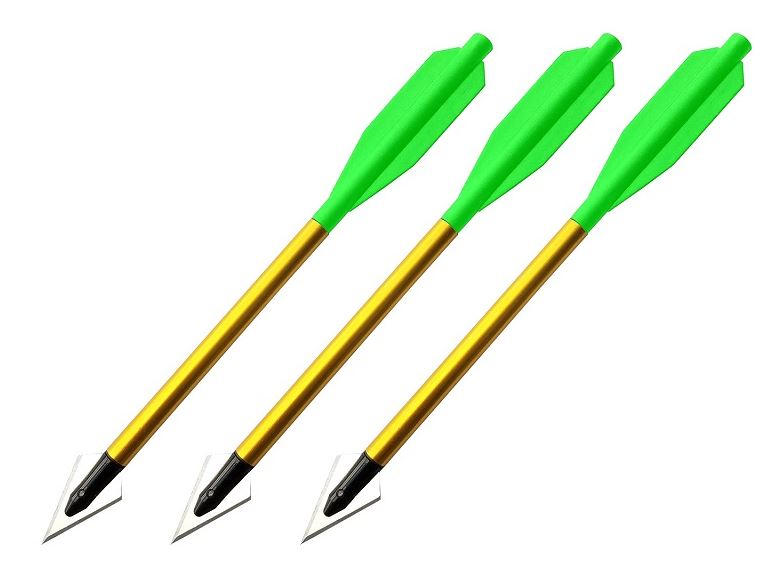 Flèche de chasse Seeker - BOLT Crossbows | Latulippe