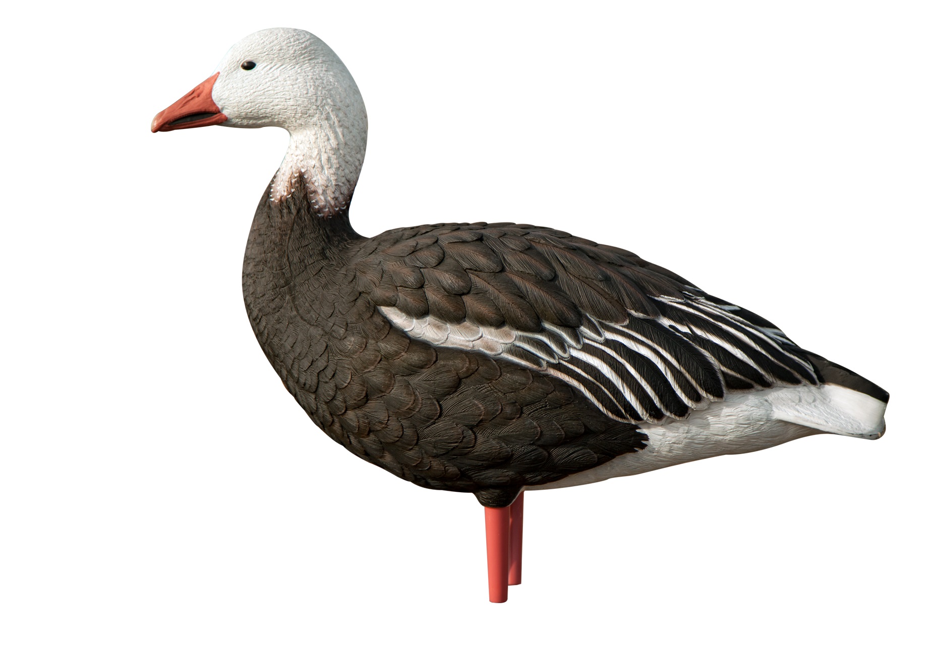Appelants Adult Blue Goose - Avian X | Latulippe